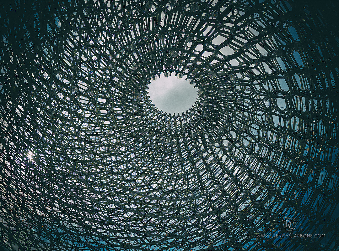 The Hive | Denis Carbone | Photographer | Filmmaker