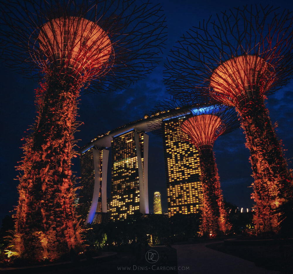 Skytrees in Singapore | Denis Carbone | Photographer | Filmmaker